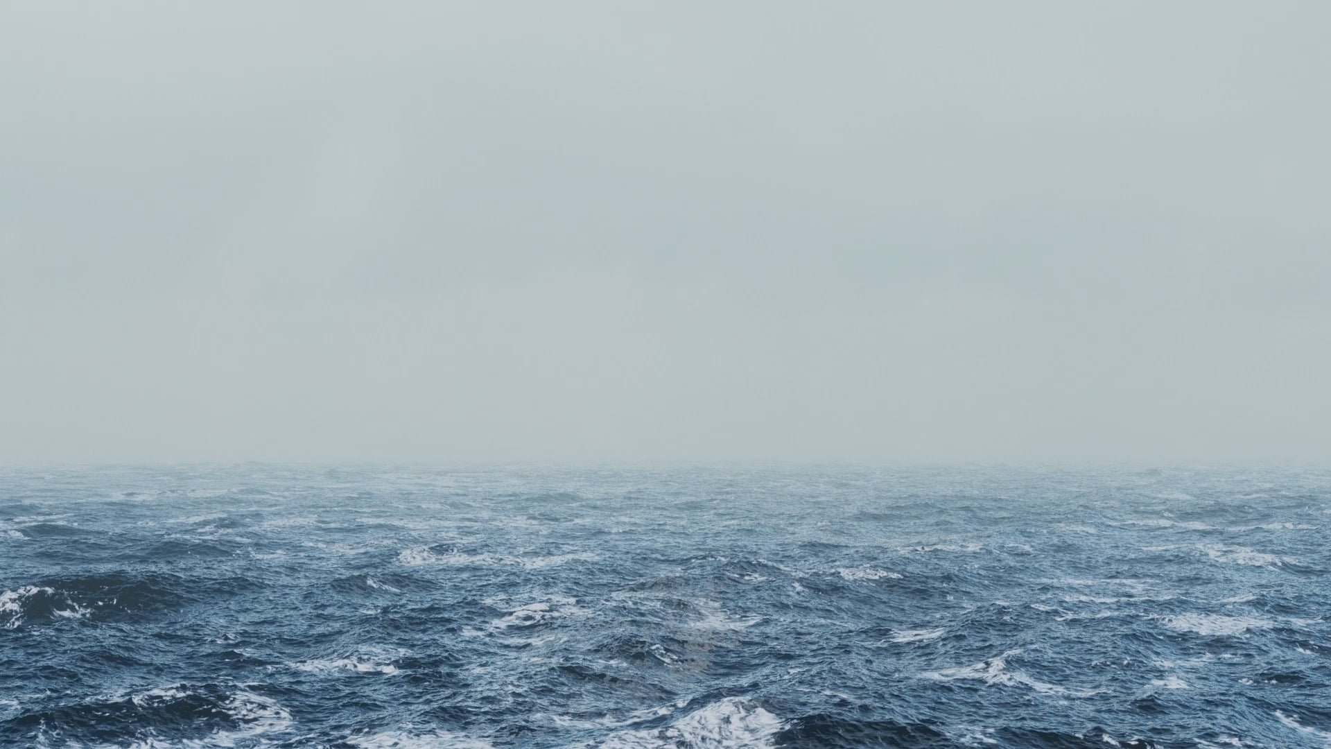 Sample 3040 – Logo Animators