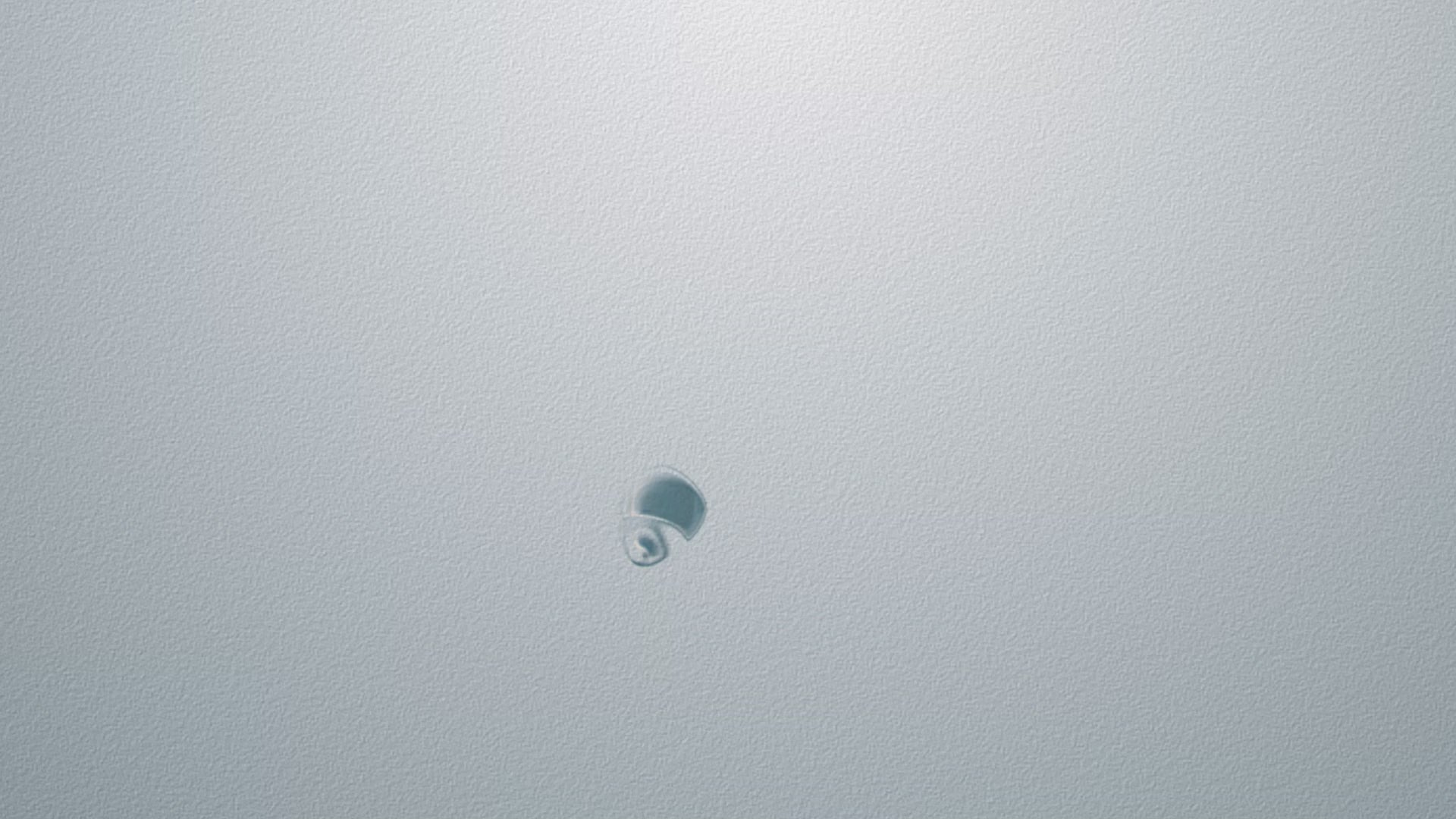 Sample 3006 – Logo Animators