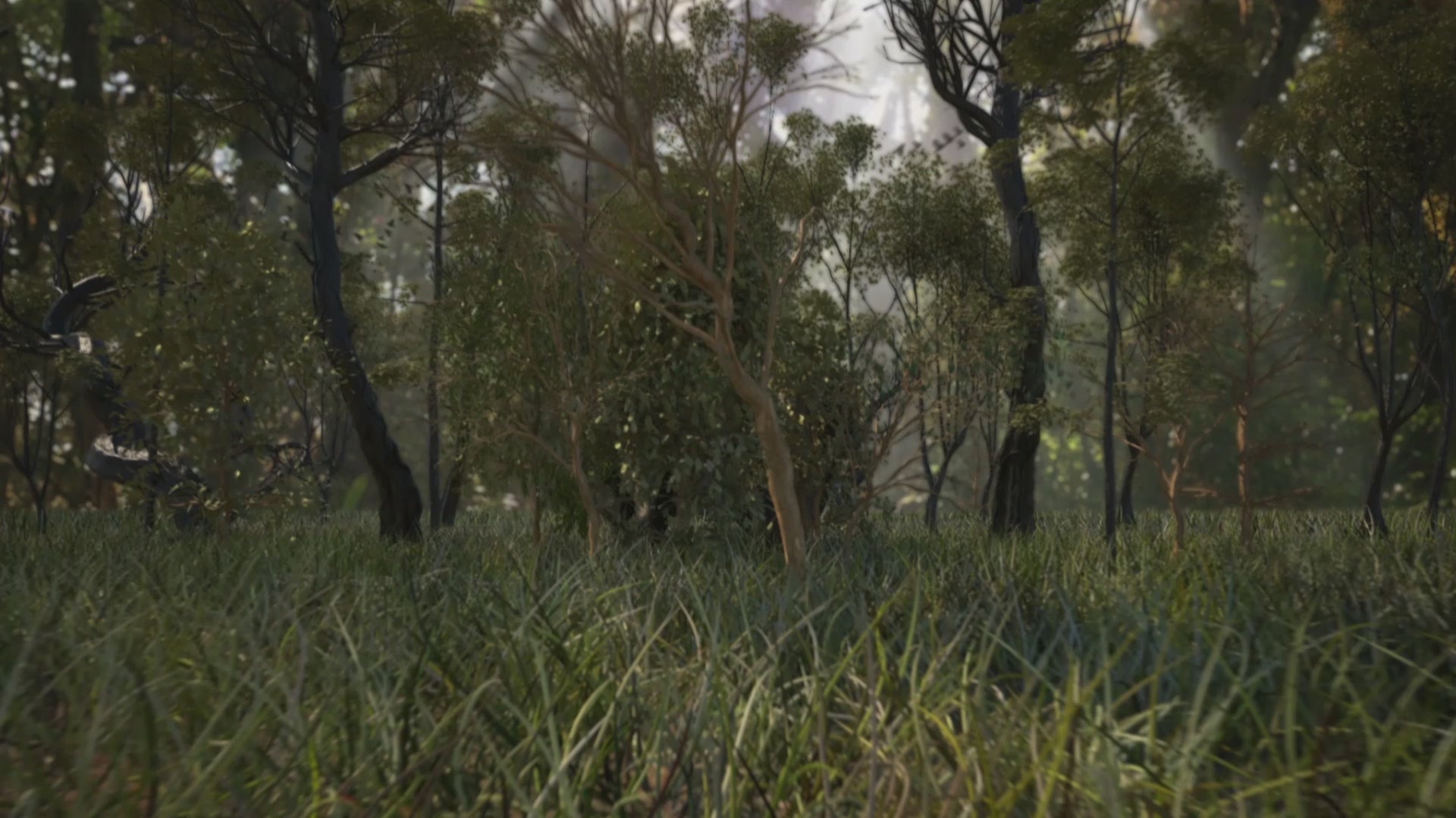 Sample 4042 – Logo Animators