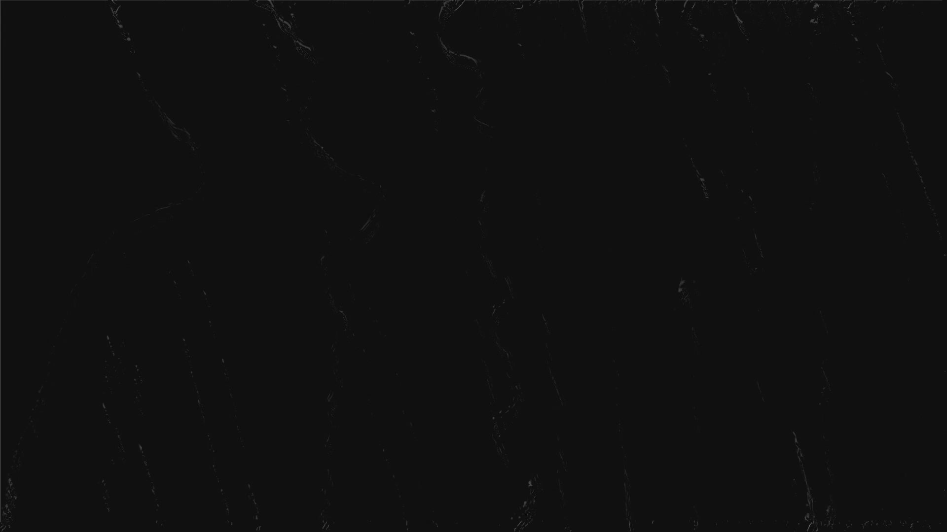 Sample 3088 – Logo Animators