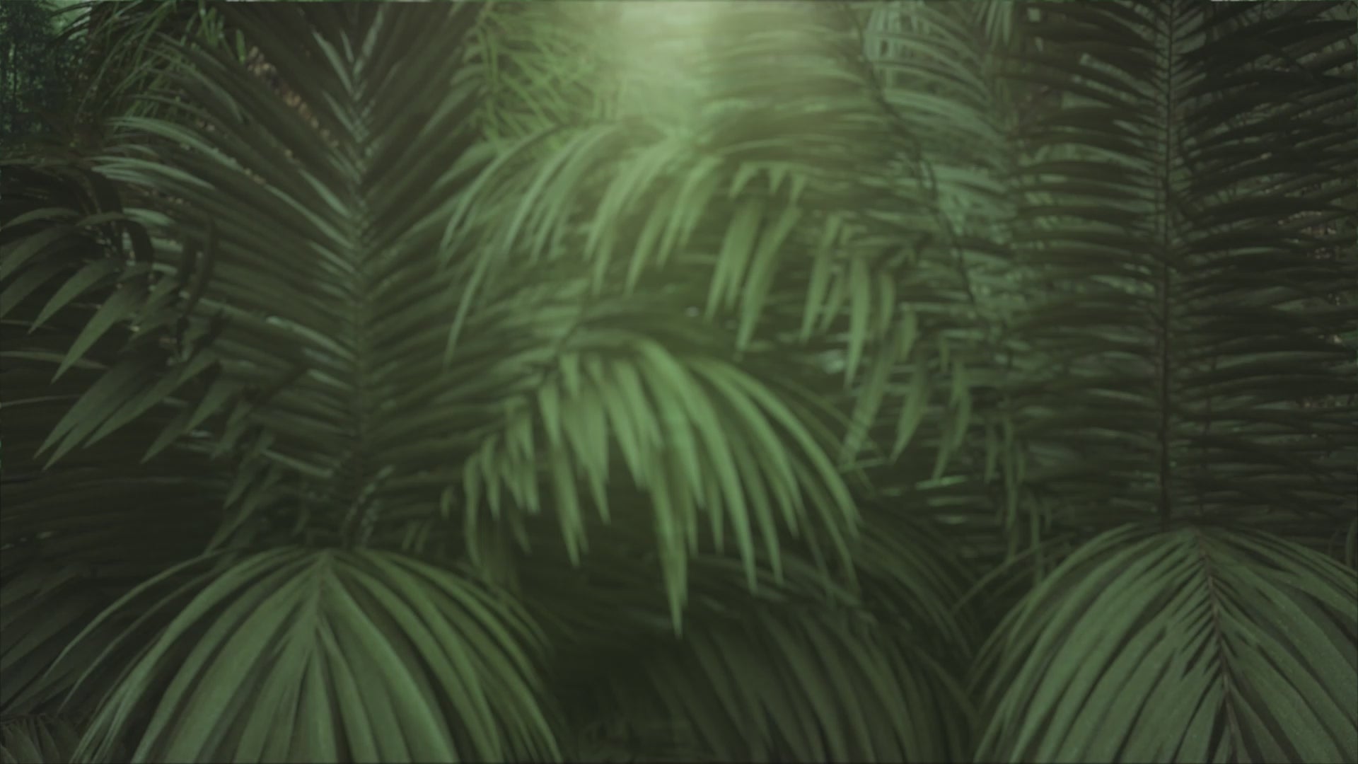 Sample 3059 – Logo Animators