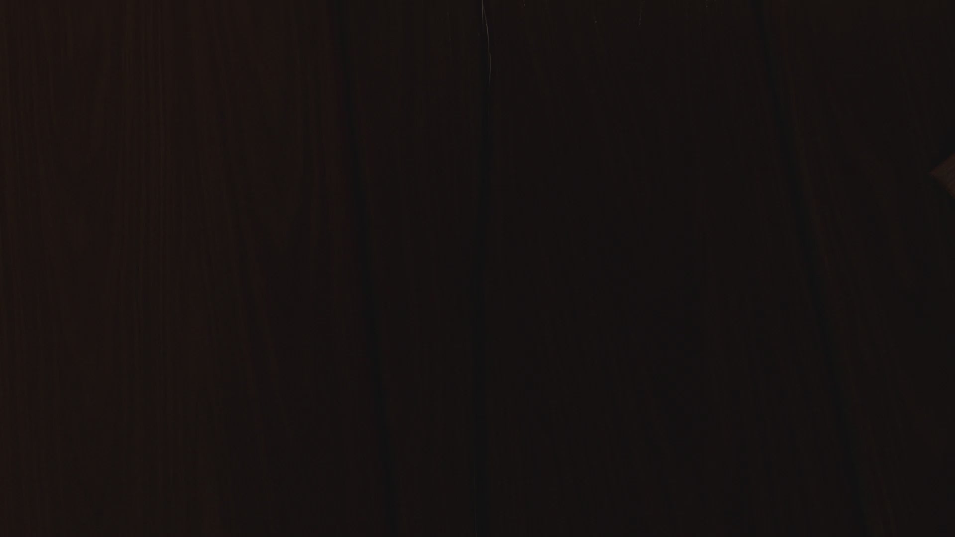 Sample 3022 – Logo Animators