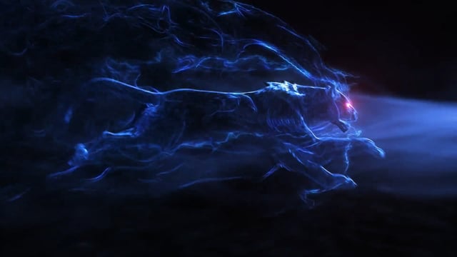 Animals – Logo Animators