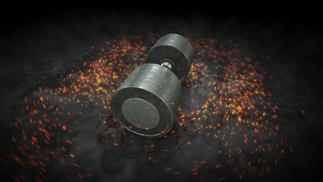 Collections Logo Animators