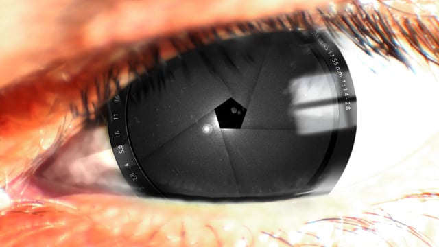 Collections – Logo Animators