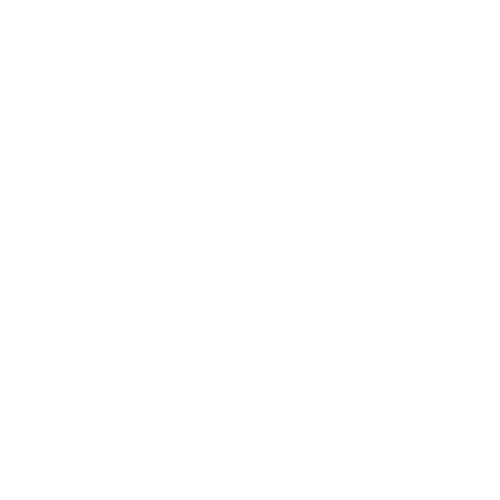 Pricing – Logo Animators