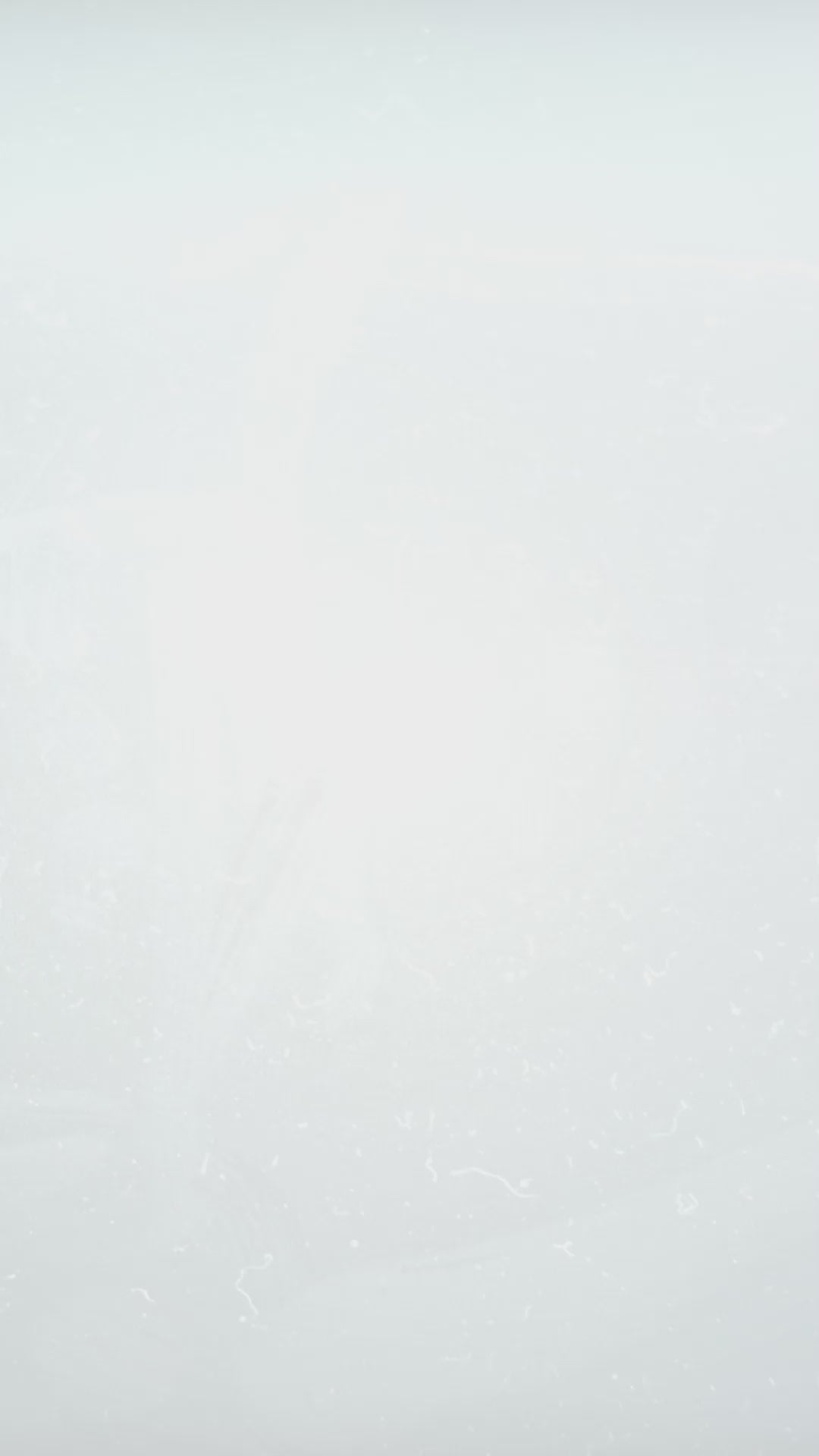 Sample 488 – Logo Animators