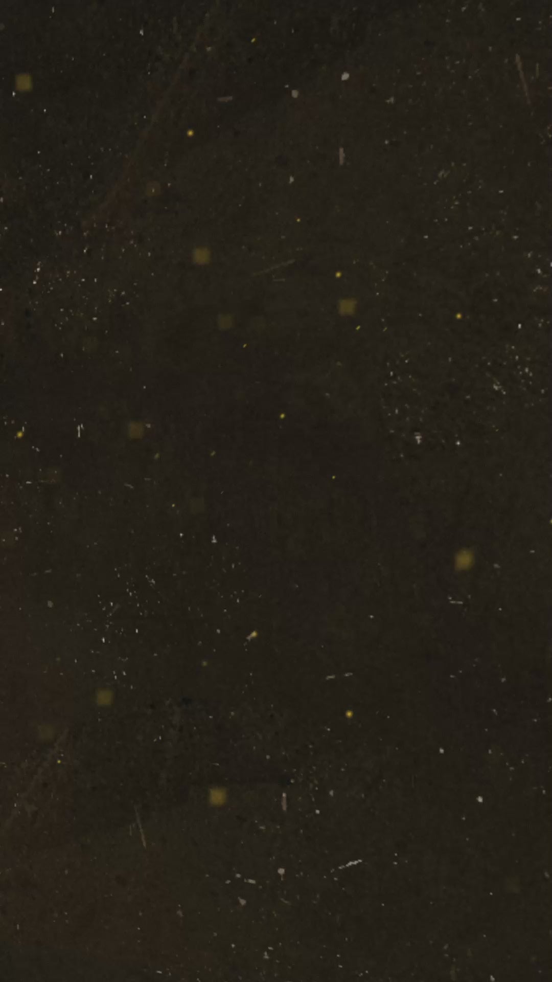 Sample 611 – Logo Animators