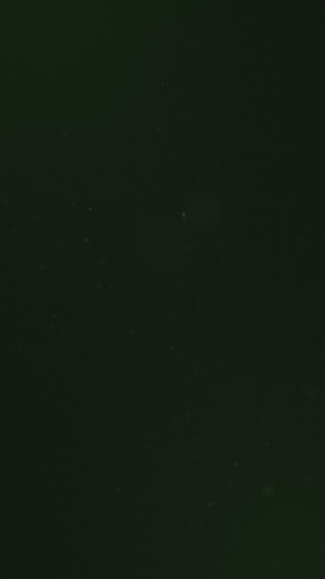 Sample 581 Logo Animators