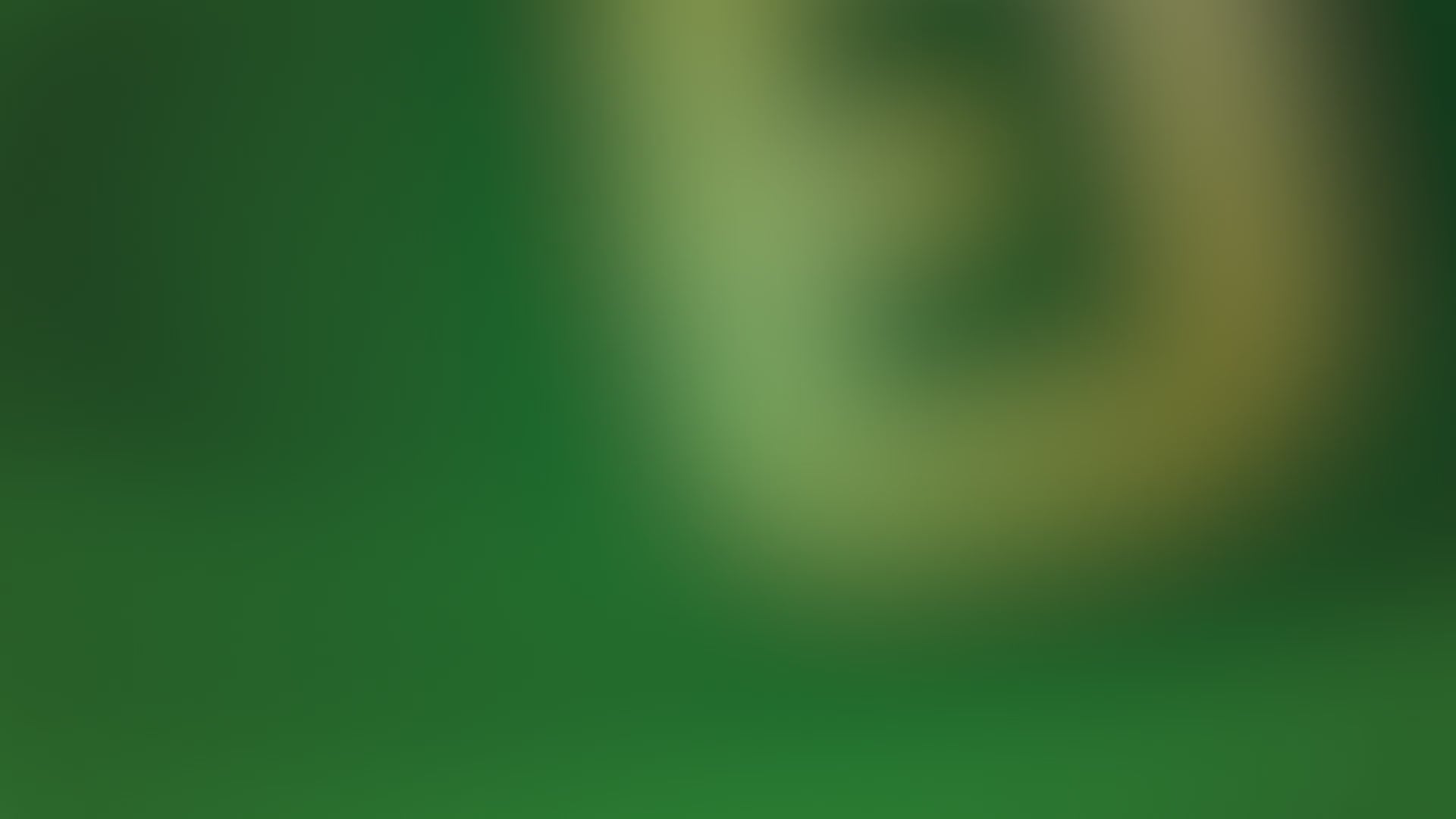 St. Patrick's Day 004 – Logo Animators