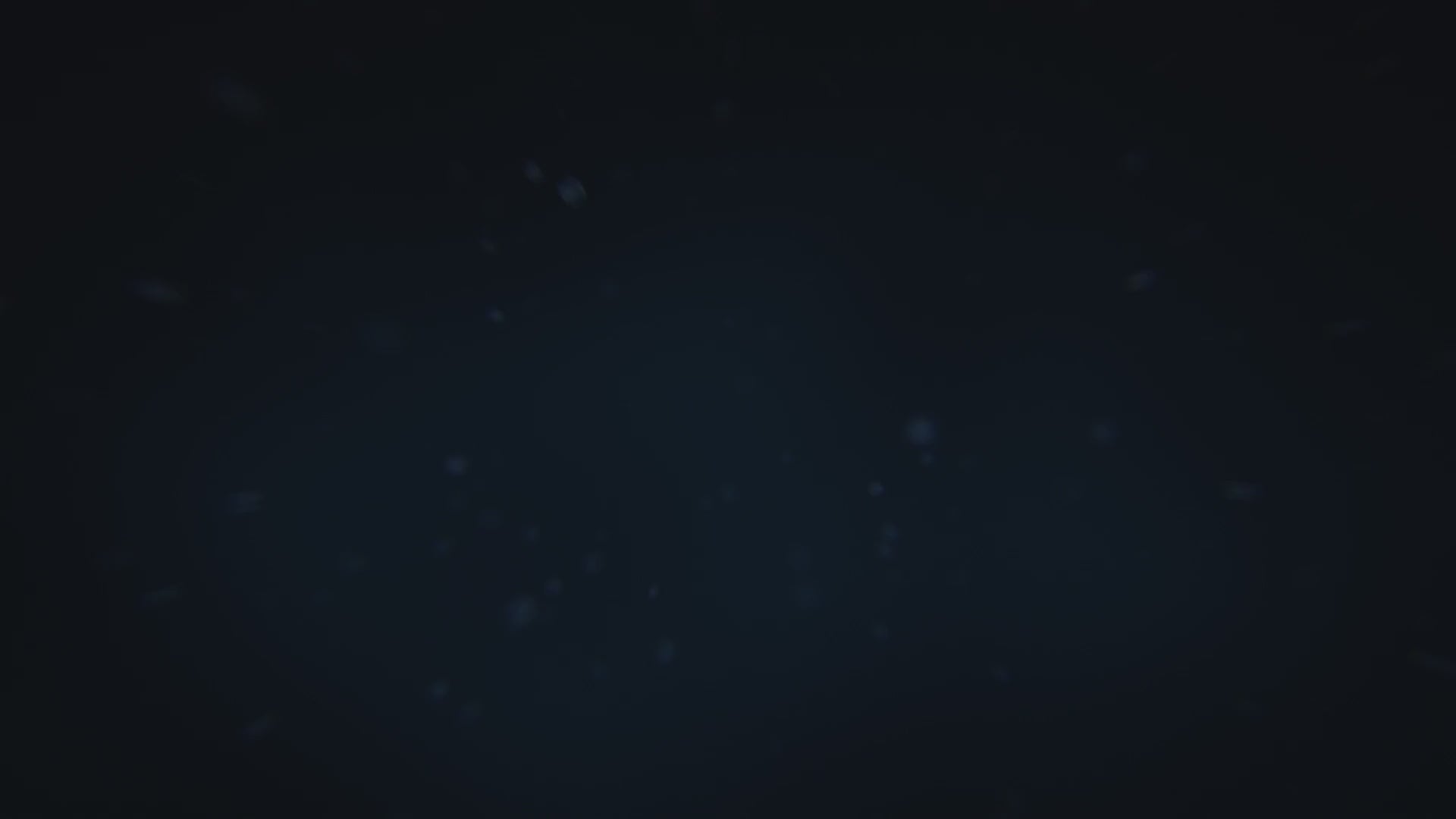 Sample 613 Logo Animators