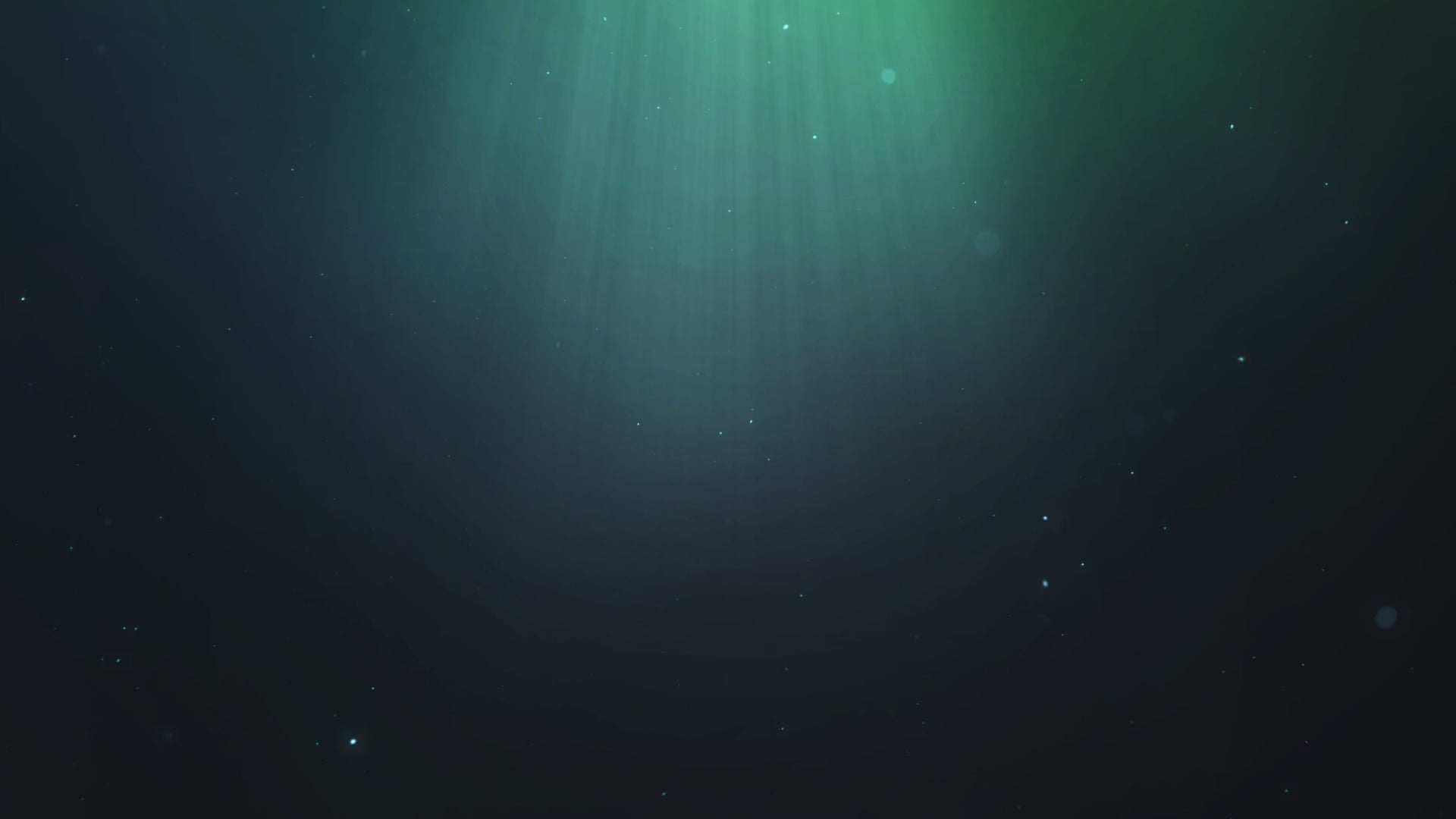 Sample 640 Logo Animators