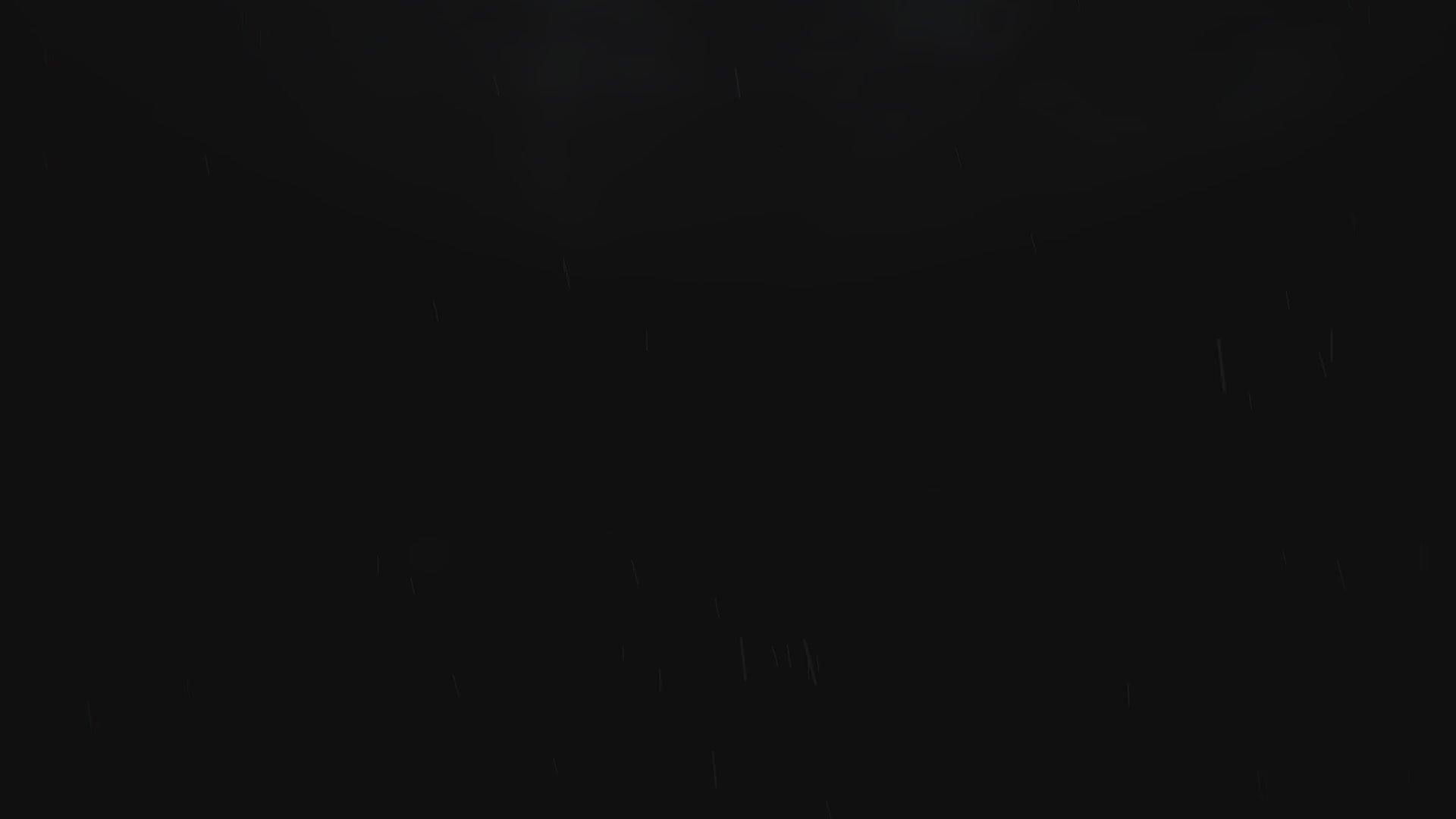 Sample 275 Logo Animators