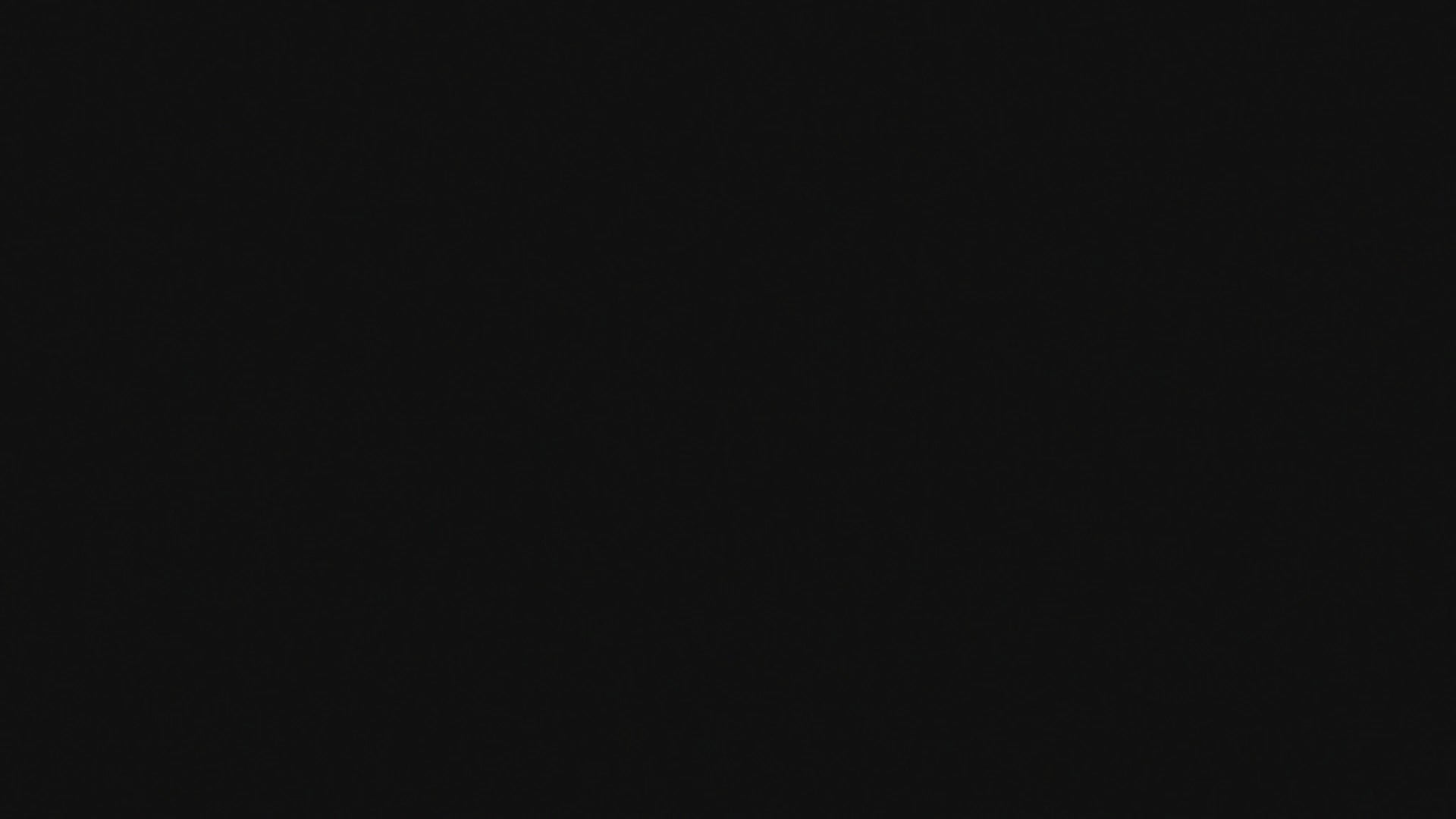 Sample 339 – Logo Animators