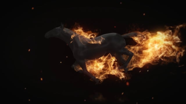 Sample 685 – Logo Animators