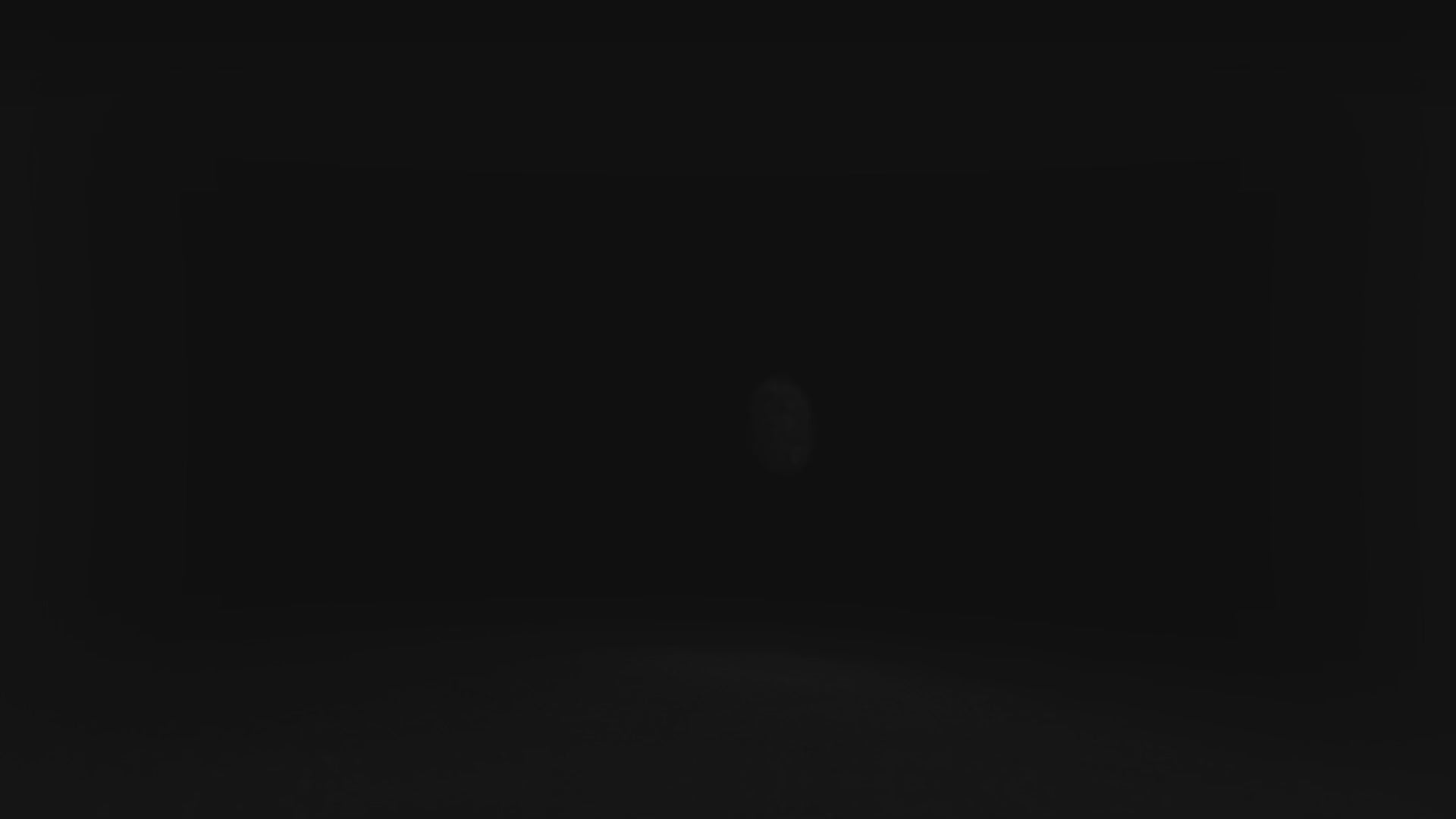 Sample 589 Logo Animators