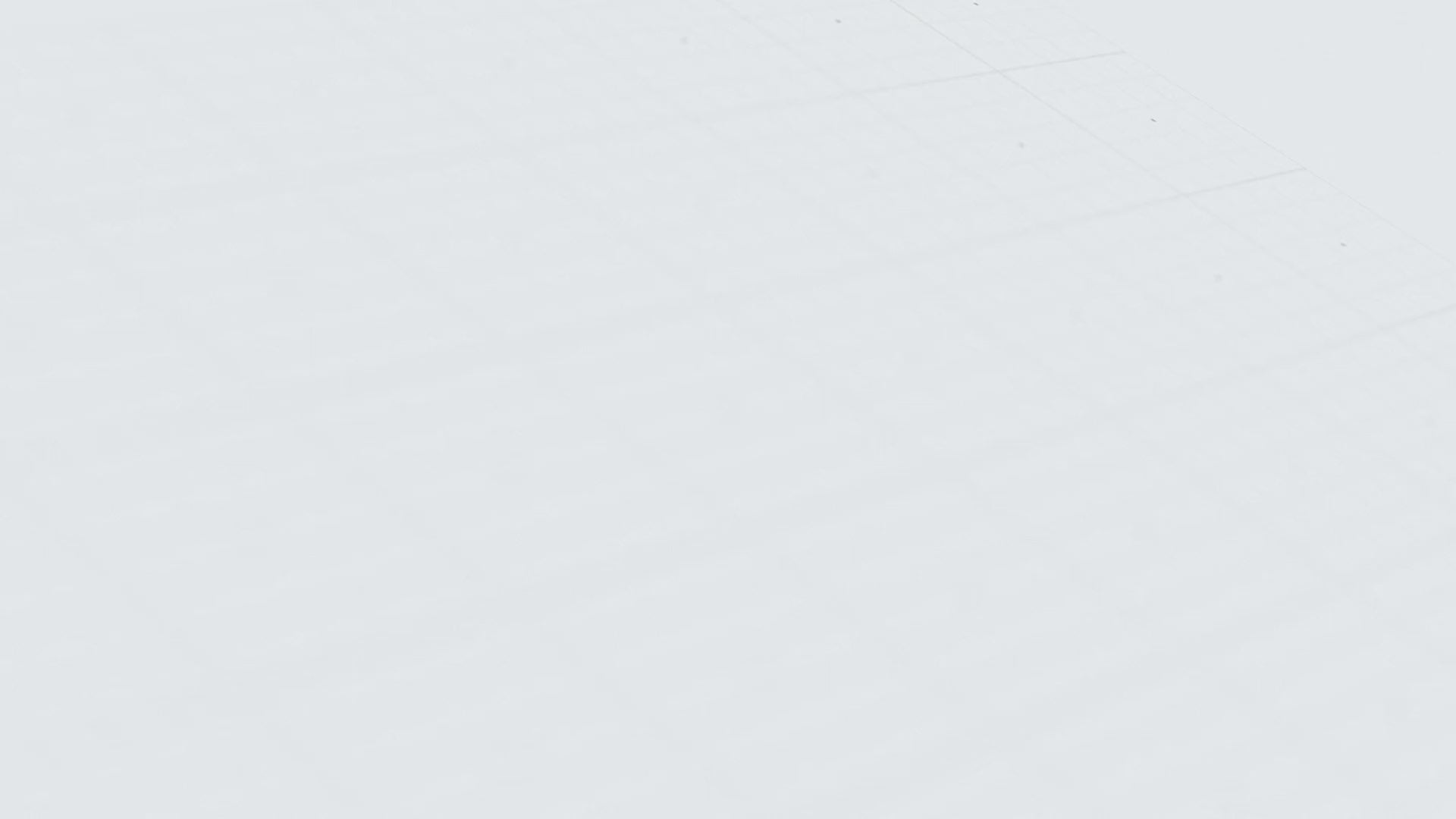 Sample 511 Logo Animators