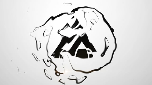 Sample 15 – Logo Animators