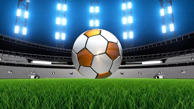 Sample 727 Logo Animators